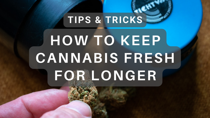 Cannabis Storage 101: How to Keep Weed Fresh for Longer – TIGHTPAC